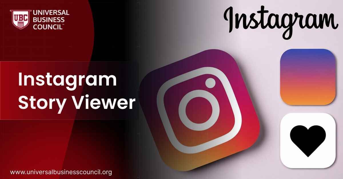 Instagram Story Viewer